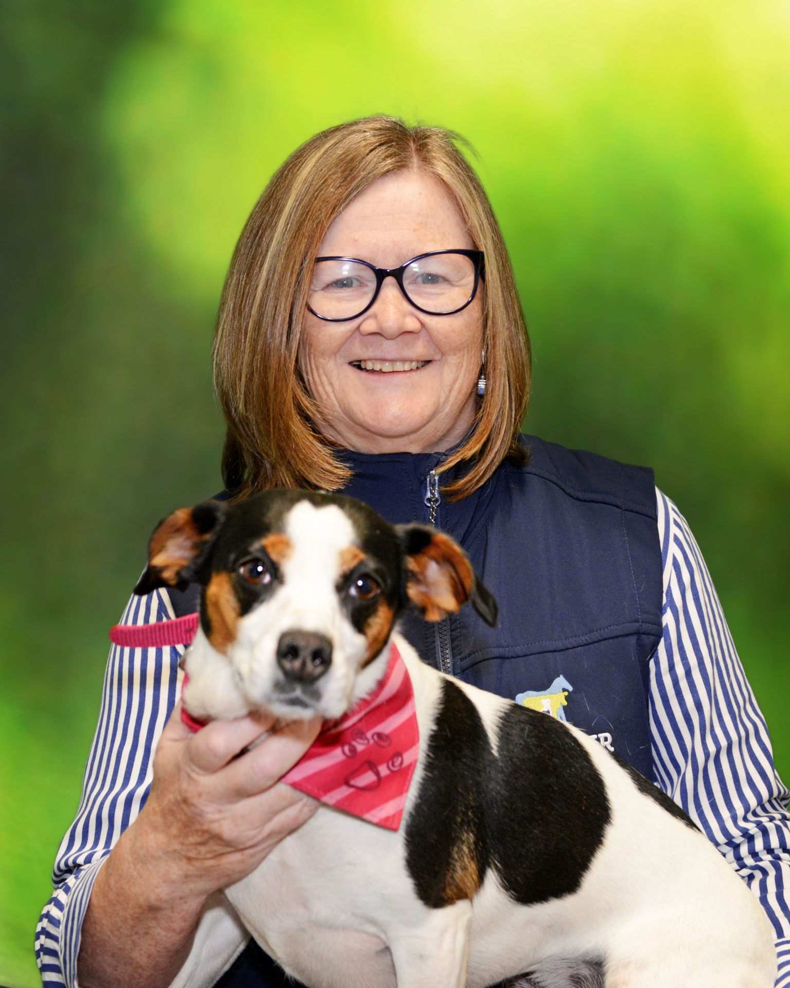 Anna Nolan - MulcairVets